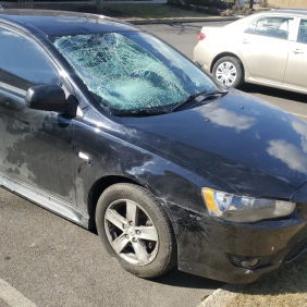 Contact Us - Long Island